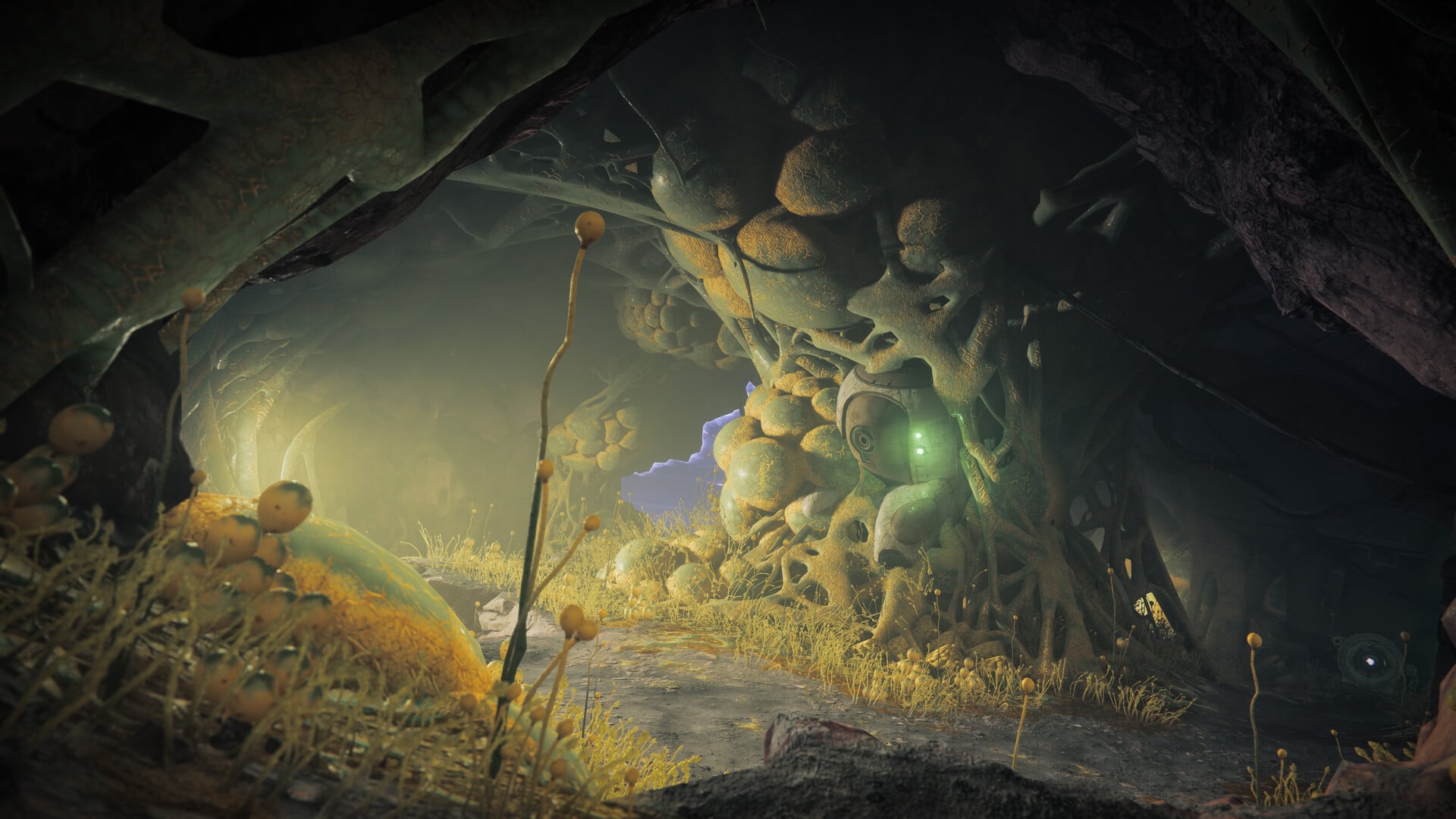 Buy Destiny 2: Year of Prophecy Ultimate Edition Xbox One & Xbox Series ...