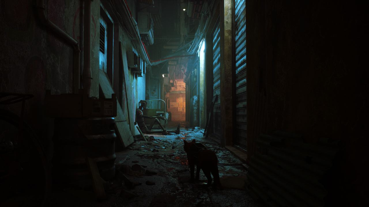 Buy Stray PC (Europe & UK) CD Key | Loaded